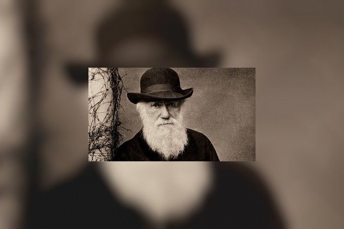 Did Darwin kill God? No, but Dawkins killed evolution - ABC Religion ...