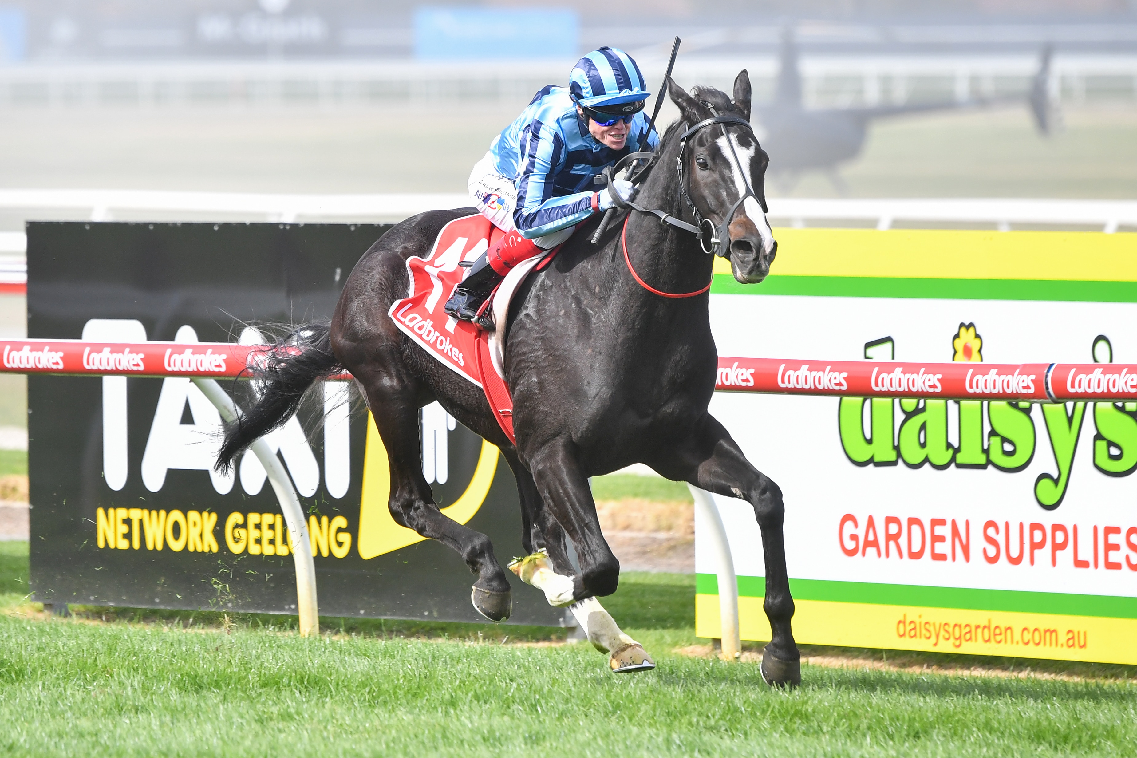 Onesmoothoperator wins 2024 Geelong Cup as jockey Craig Williams gets ...