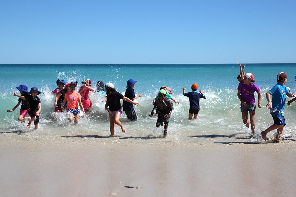 From the bush to the beach - ABC News