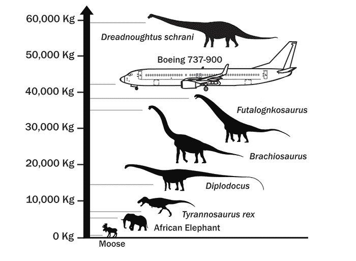 Just how big is the world's largest dinosaur? - ABC News