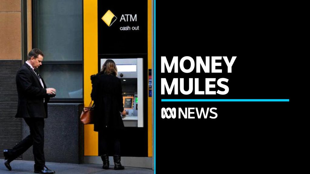 'Money mules' are responsible for about 50 per cent of scams - ABC News