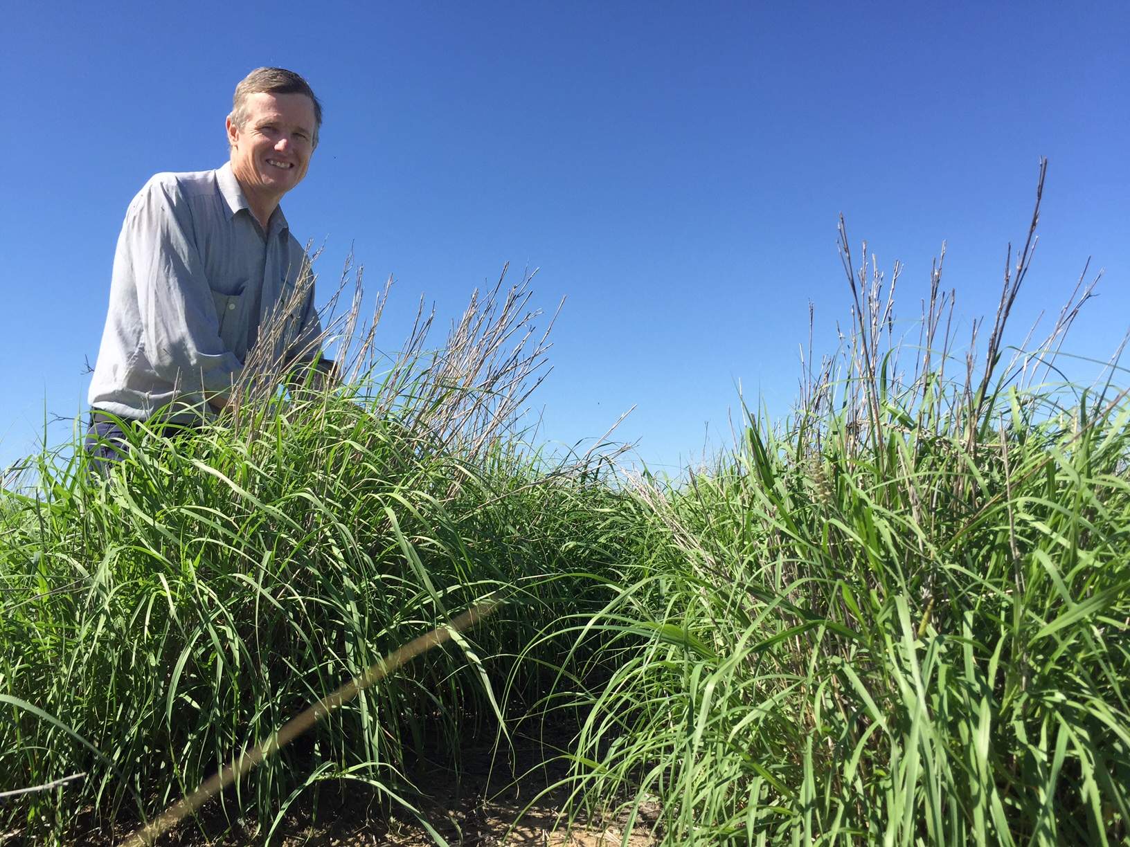 Patchy rain delivers patchy results in drought-stricken western ...