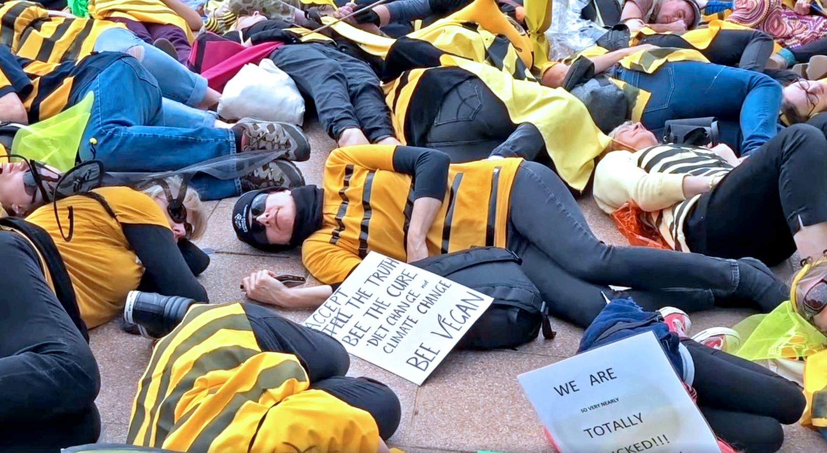 'Insect Armageddon': Europe reacts to alarming findings about decline ...