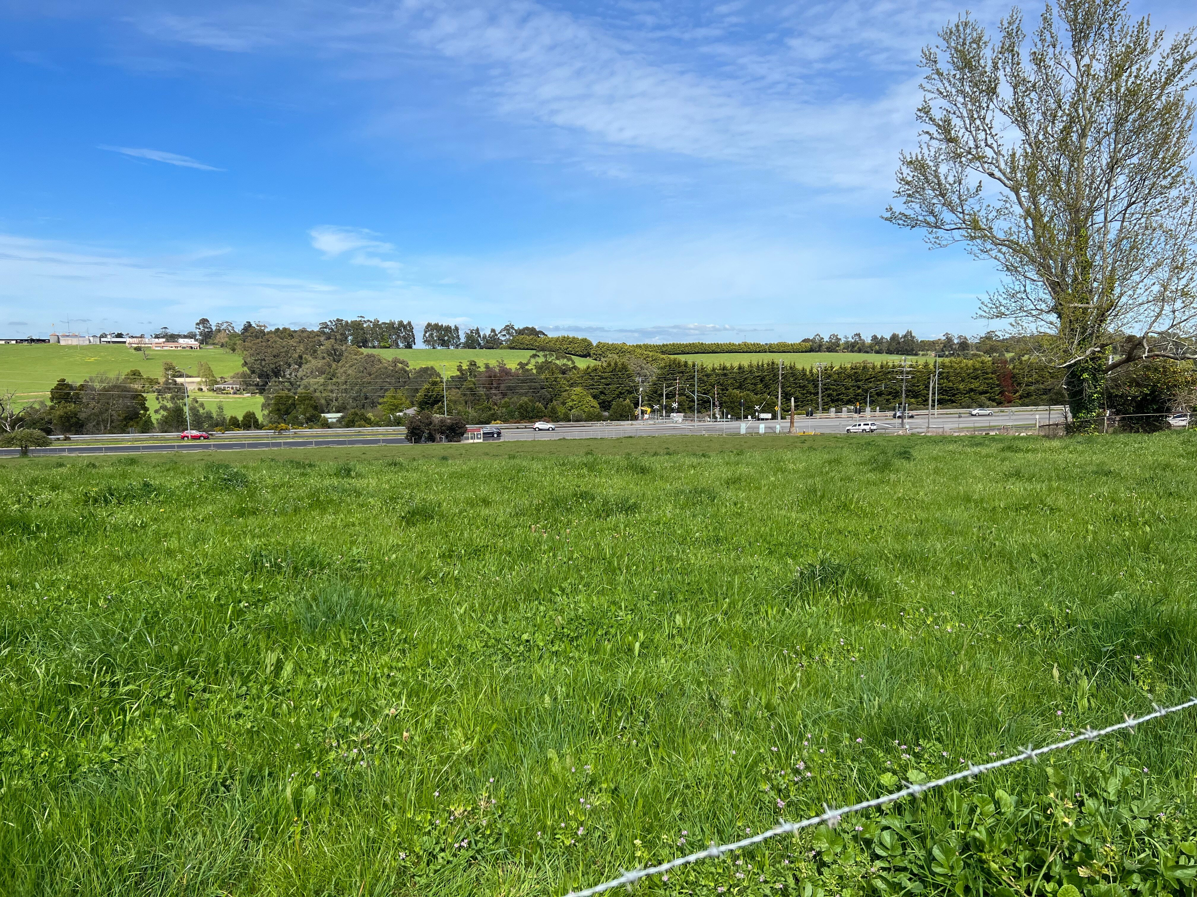 Victorian Labor pledges new West Gippsland hospital if re-elected - ABC ...