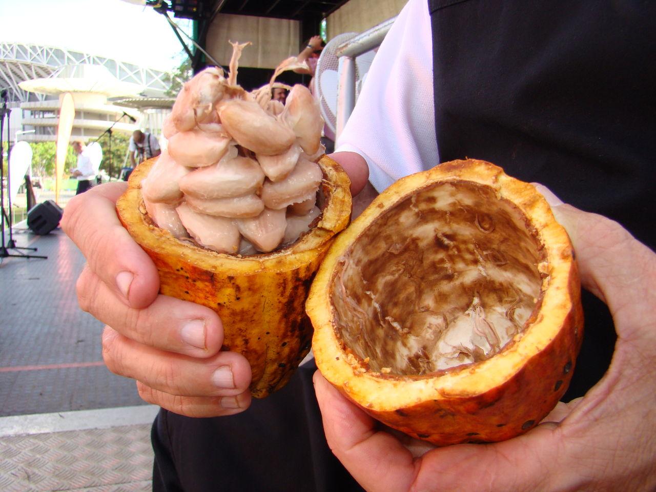 Chocolate self-saucing pudding - ABC Everyday