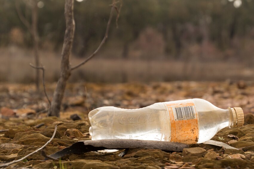Indigenous artist turns litter into art to deal with overwhelming ...
