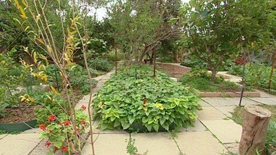 This Gardening Life - Gardening Australia