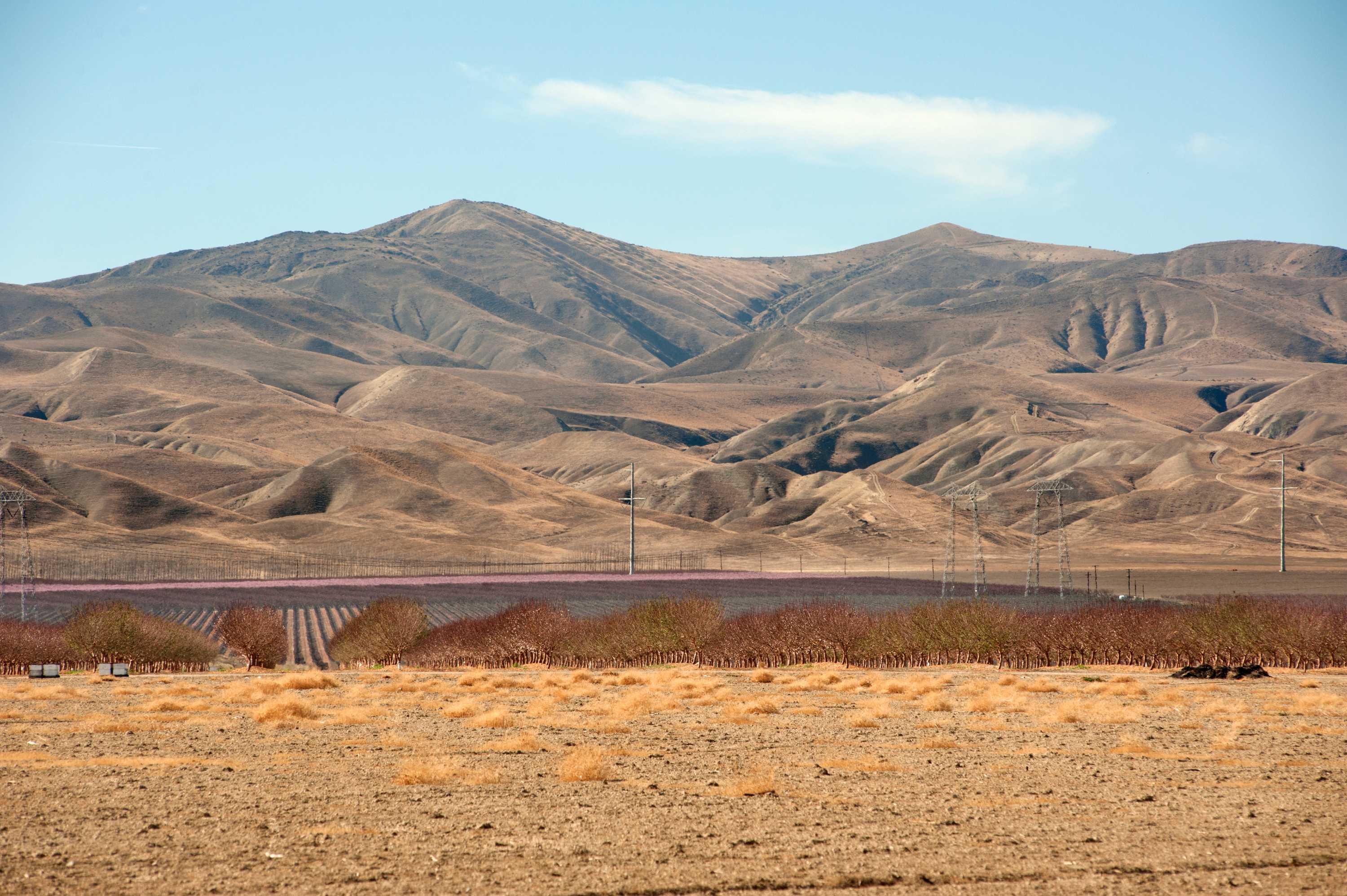 California looks to South Australia as it battles own 'millennium ...