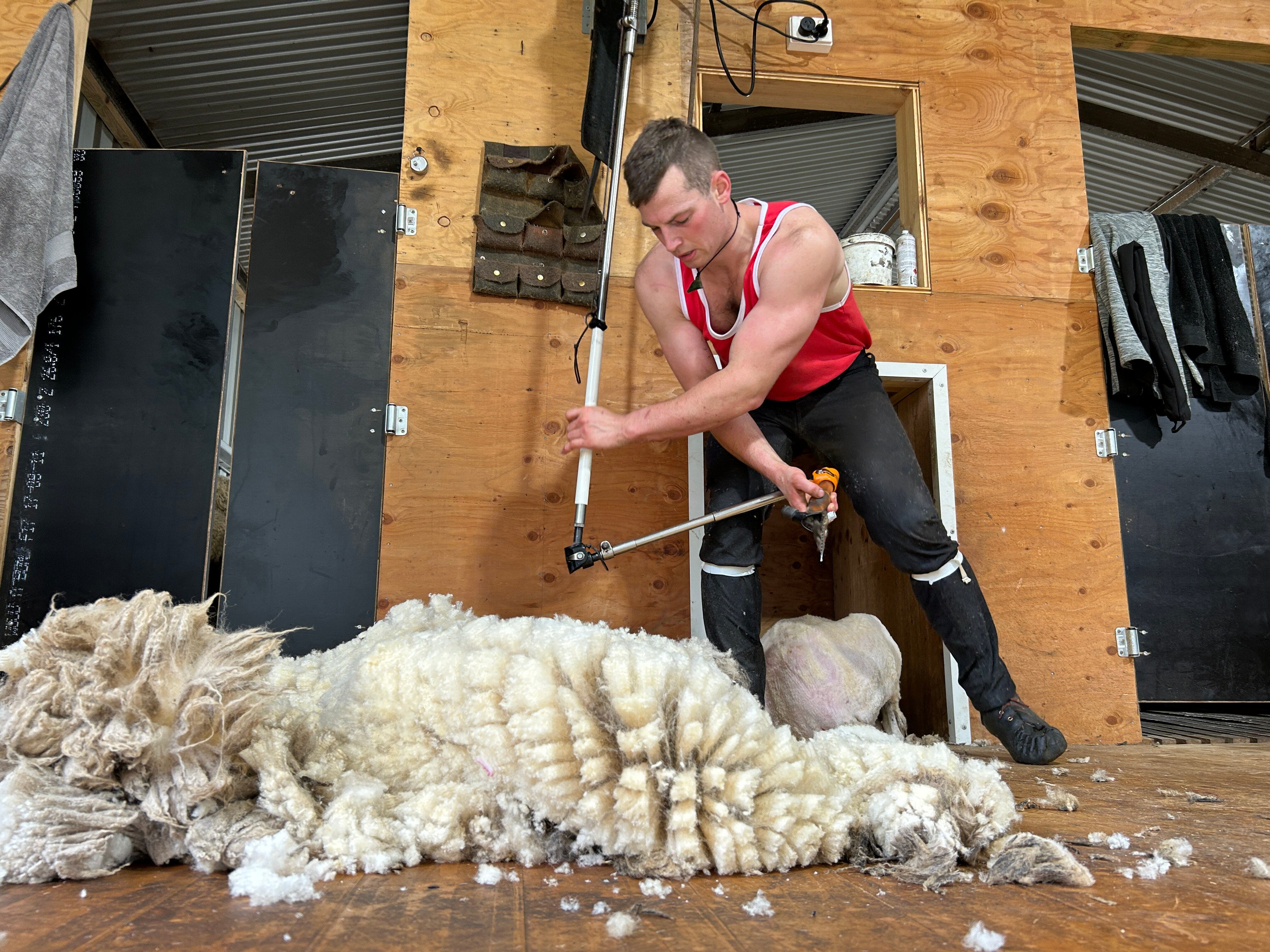 Shearer Luke Hillis comes close to breaking record for Movember ...