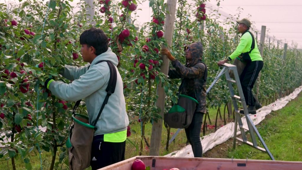 ABC Rural - ABC News