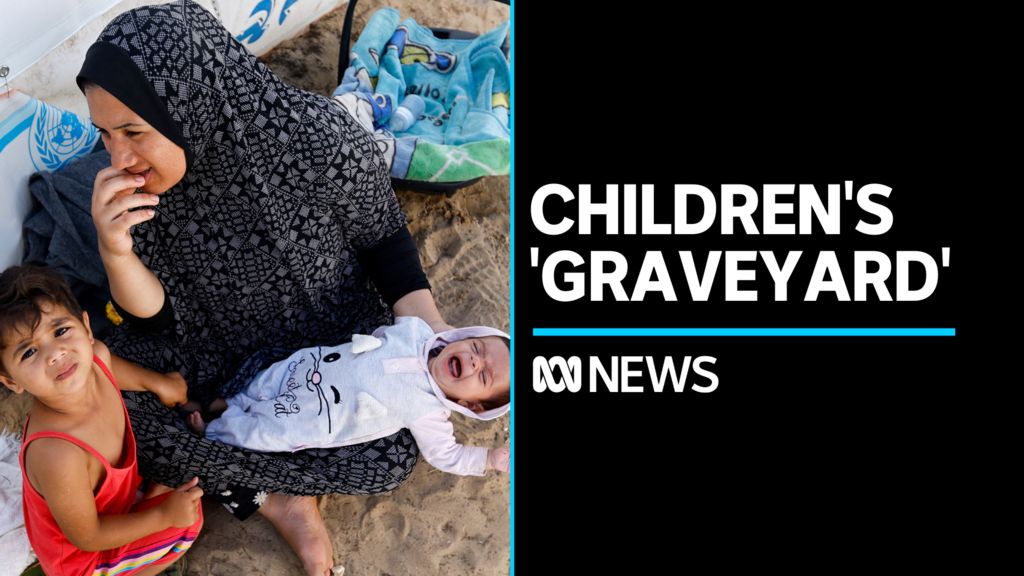 Professional ballet dancers inspire next generation - ABC News