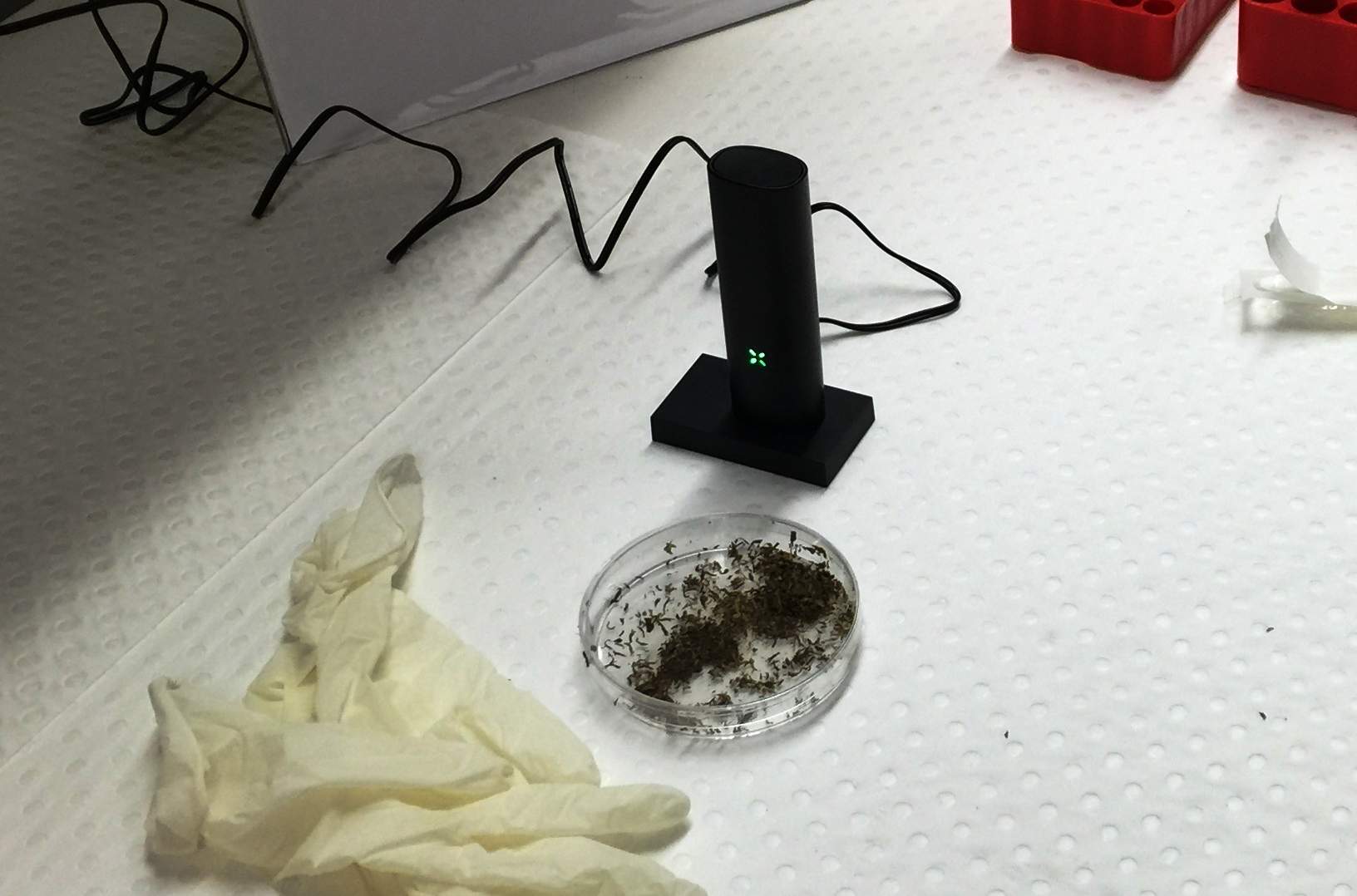 Trials into medicinal use of marijuana - ABC listen