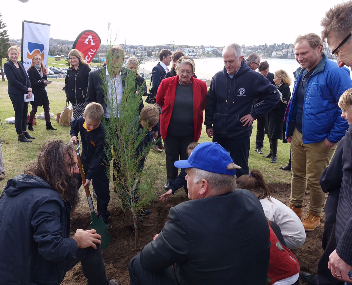 One Tree Per Child program will see trees planted from 'Coogee to ...