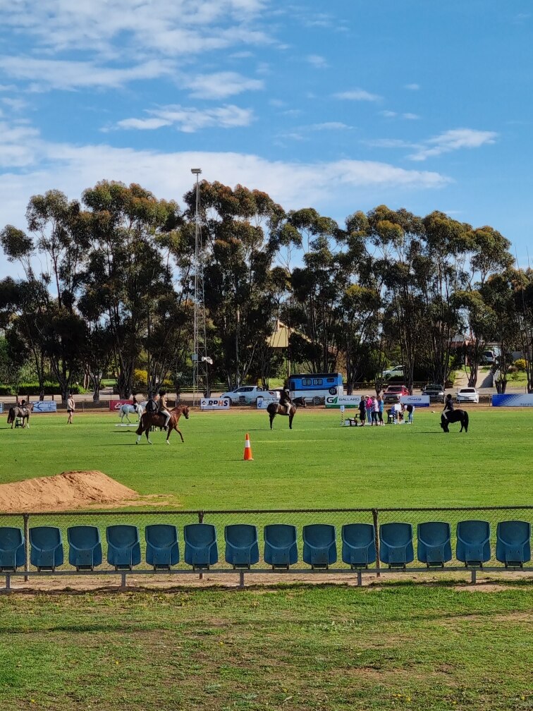 Pinnaroo - 5304 - Location - ABC News