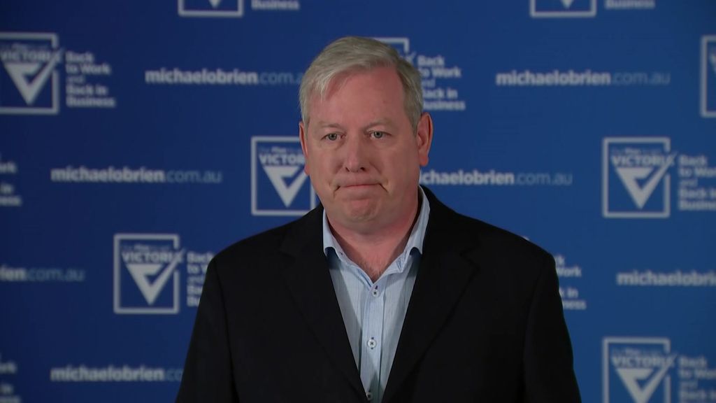 Victorian Liberal frontbencher David Davis says Bernie Finn's posts ...