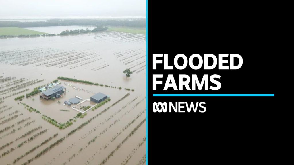 Concerns about impact of floods on food prices and supply - ABC News