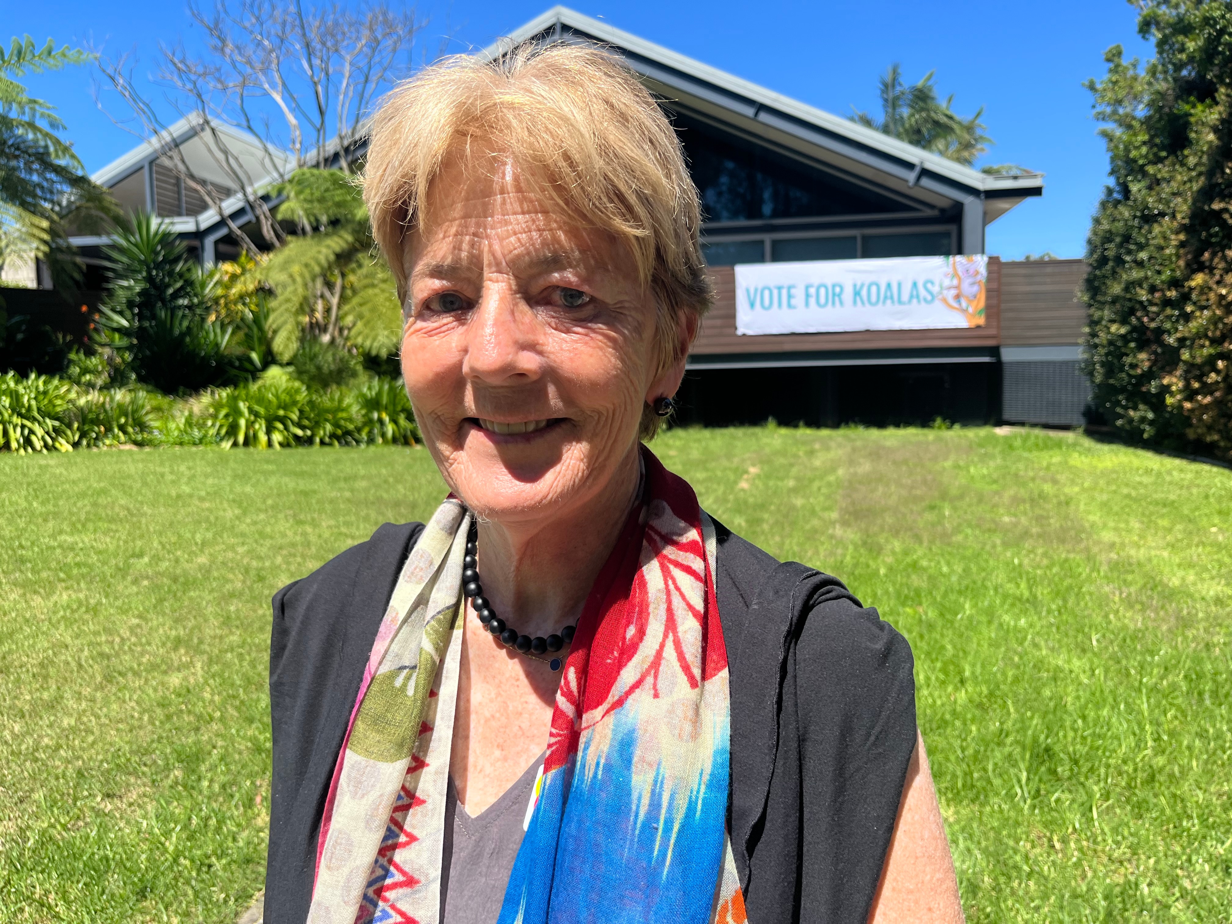 Ecologist at NSW koala conference says beloved animals on 'slippery ...