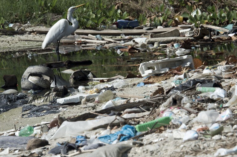 Rio Olympics: Sailing and windsurfing events threatened by Guanabara ...