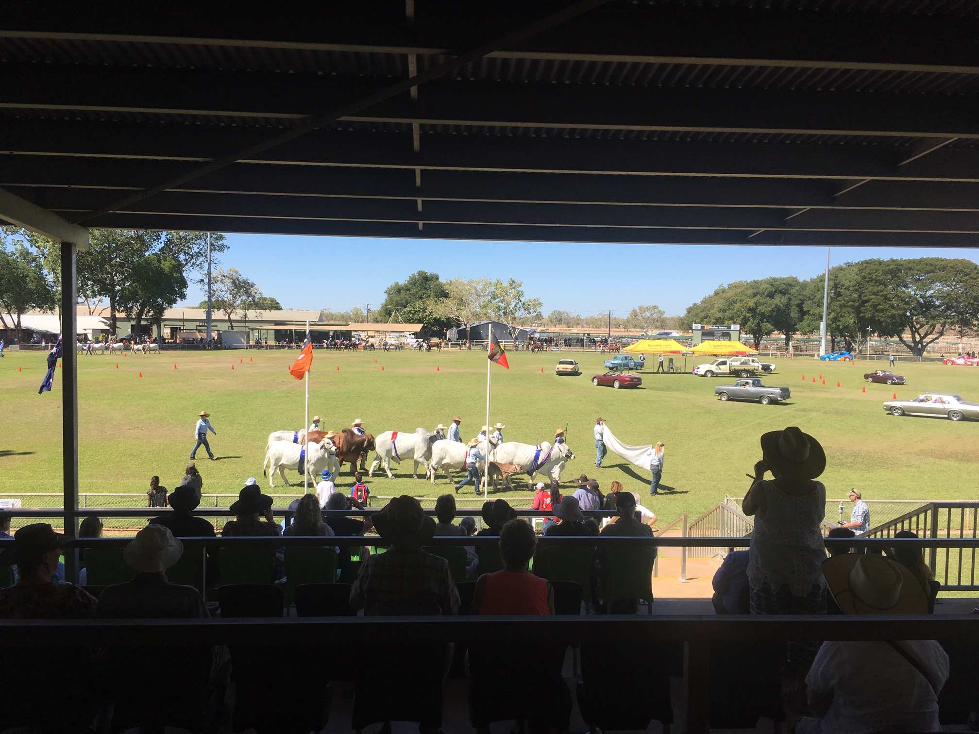 NT Country Hour - ABC listen