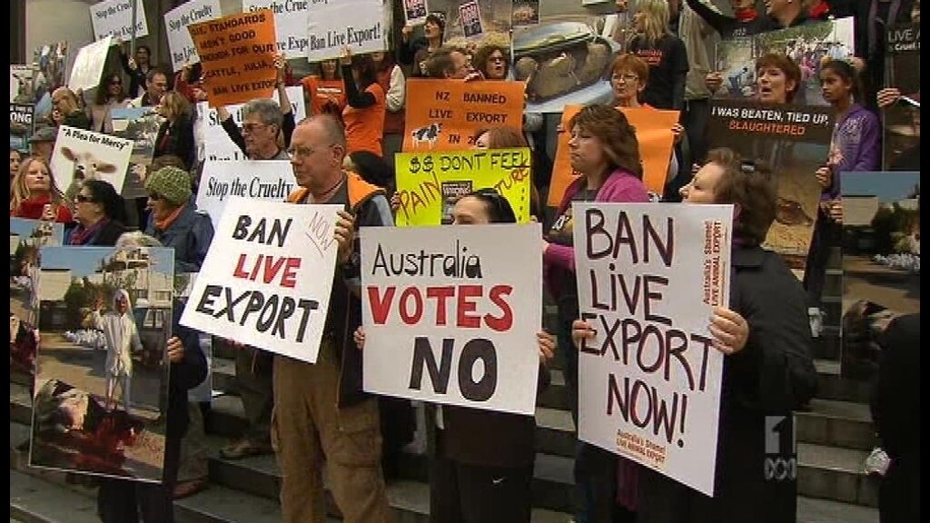 Activists demand total live export ban - ABC News