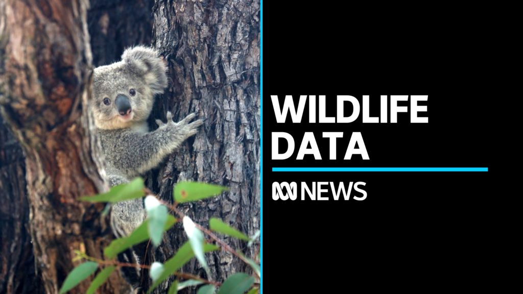 Four years of wildlife records missing from NSW government's database ...