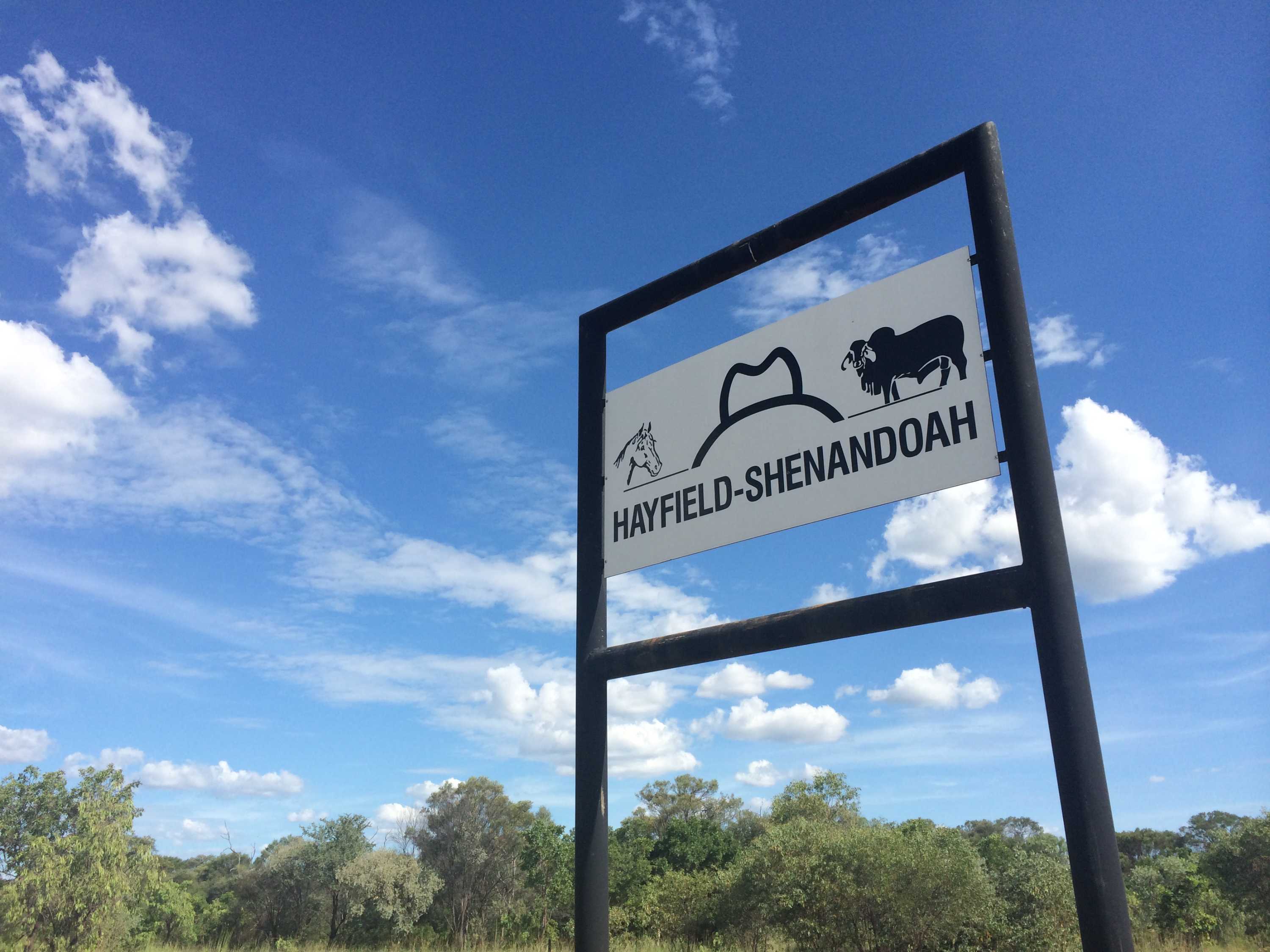 A magic start to the year for Hayfield cattle station in the Northern ...