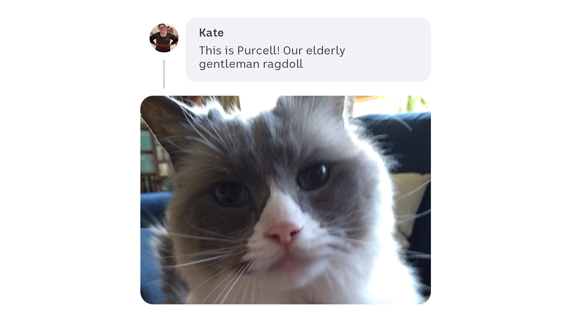 The five most popular classical music-themed names for your pets - ABC ...