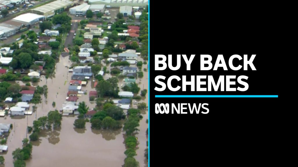 James Shugg speaks to The Business - ABC News