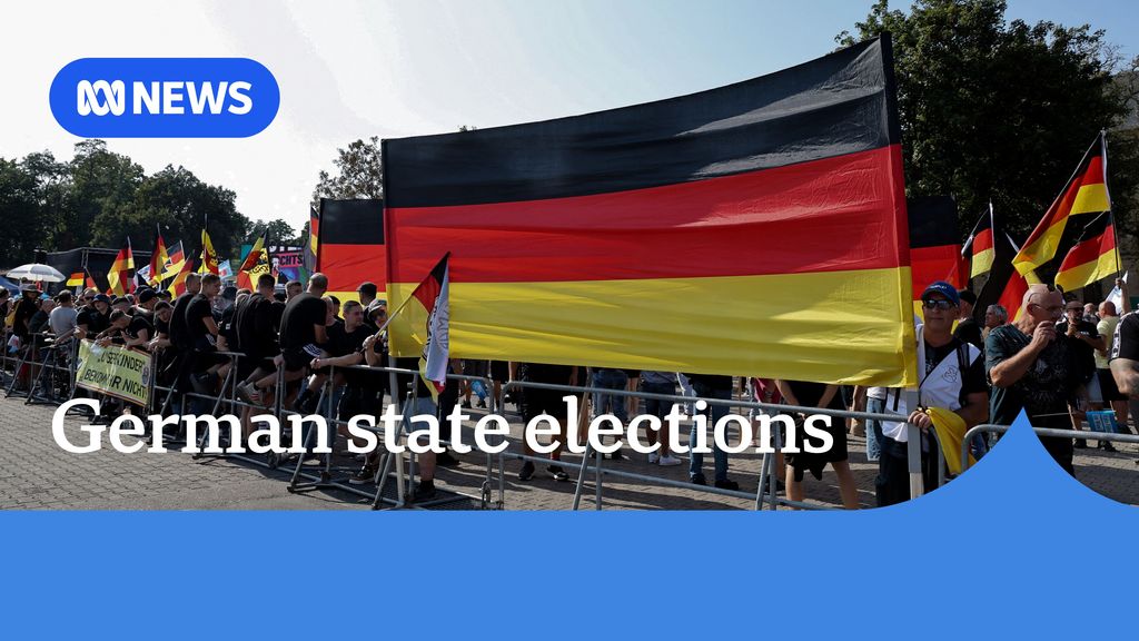 Animal handler mauled by tiger at Dreamworld - ABC News