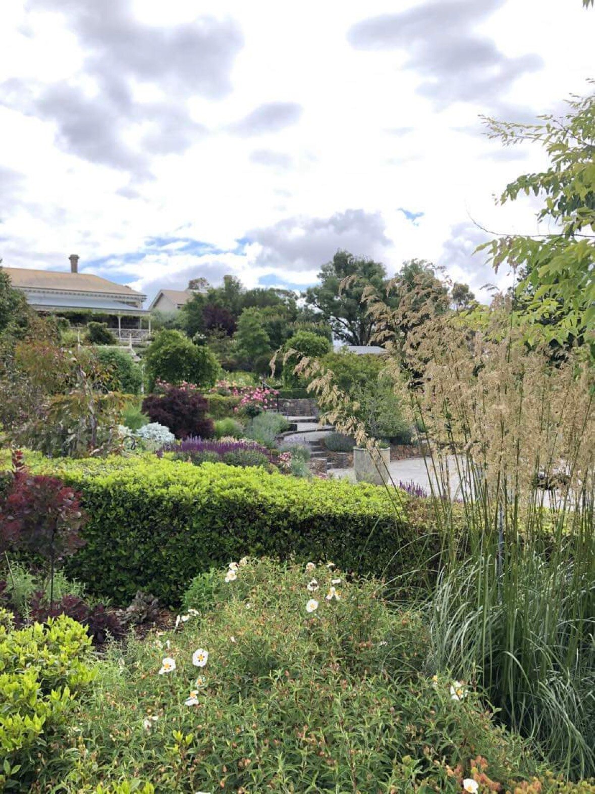 Sovereign Hill in Ballarat refuses to rule out selling historic donated ...