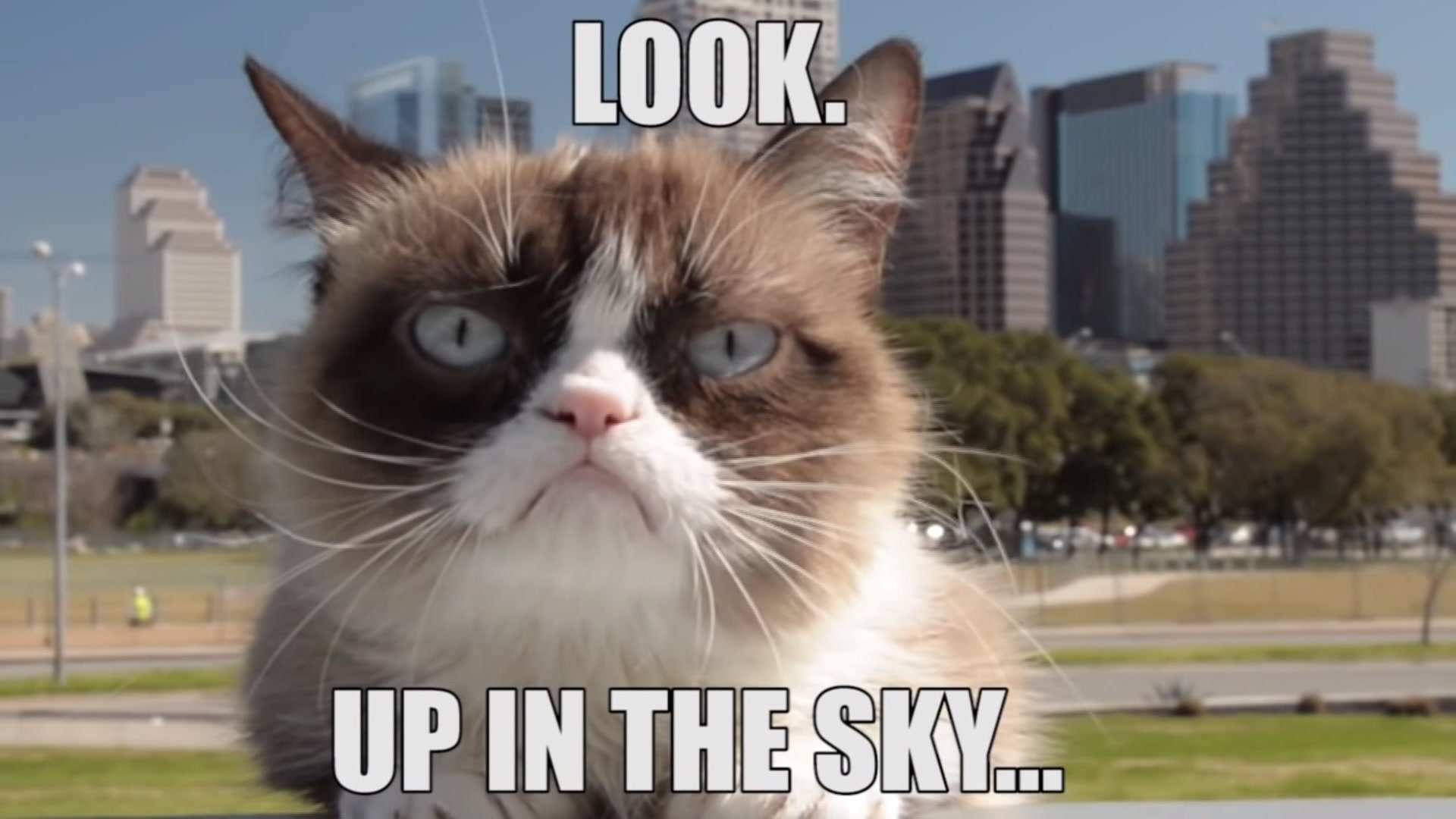 Farewell Grumpy - Behind The News