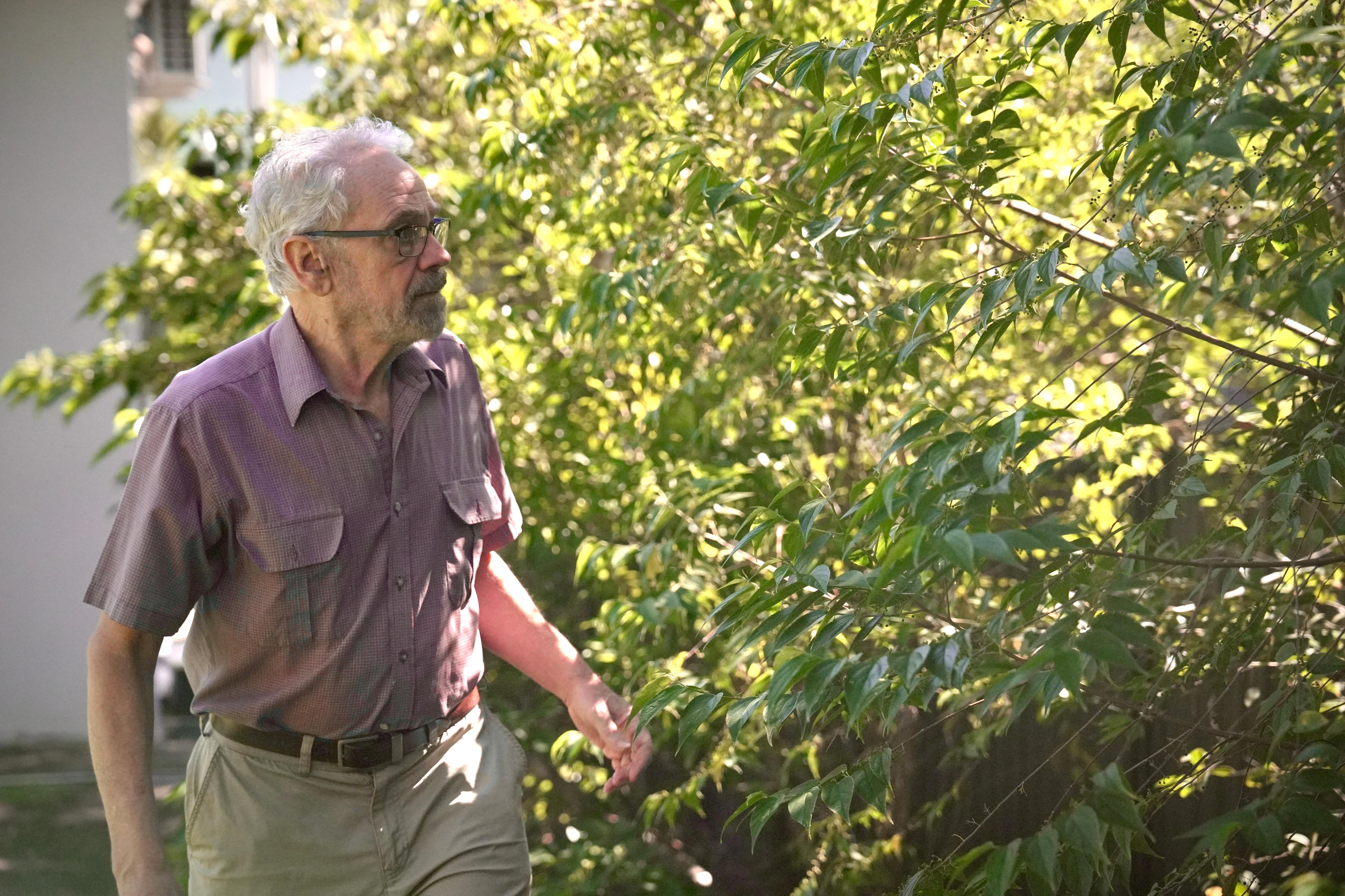Invasive plant pathogen myrtle rust detected at National Museum of ...