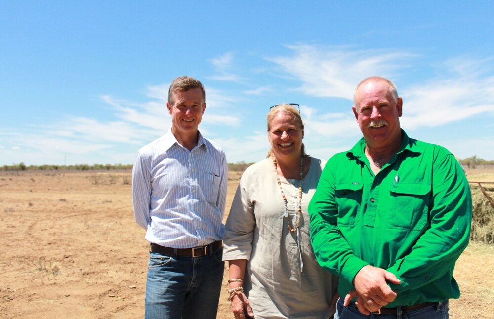 Queensland election: Graziers push for long-term drought strategies not ...