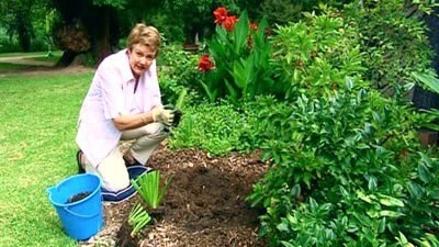 Cool Climate Autumn Jobs - Gardening Australia