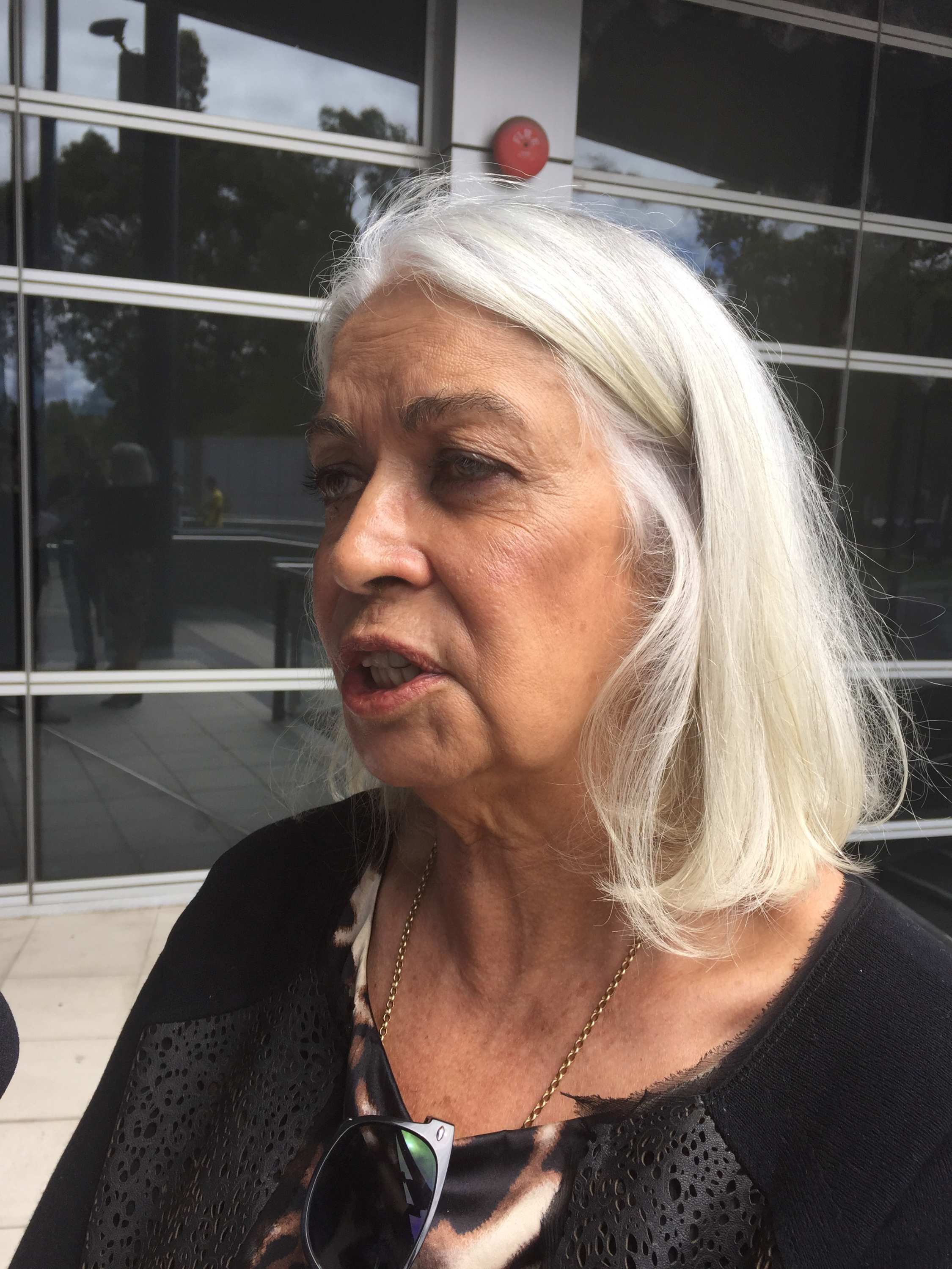 As iron ore price plunges, Marcia Langton urges Aboriginal businesses ...