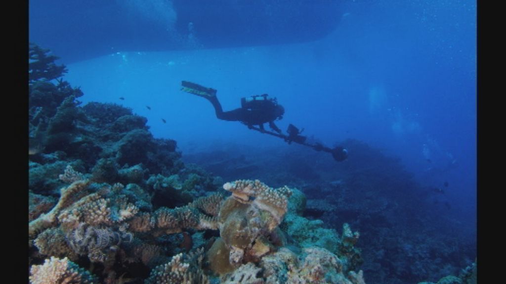 Before and after the storm - first-ever images reveal Great Barrier ...