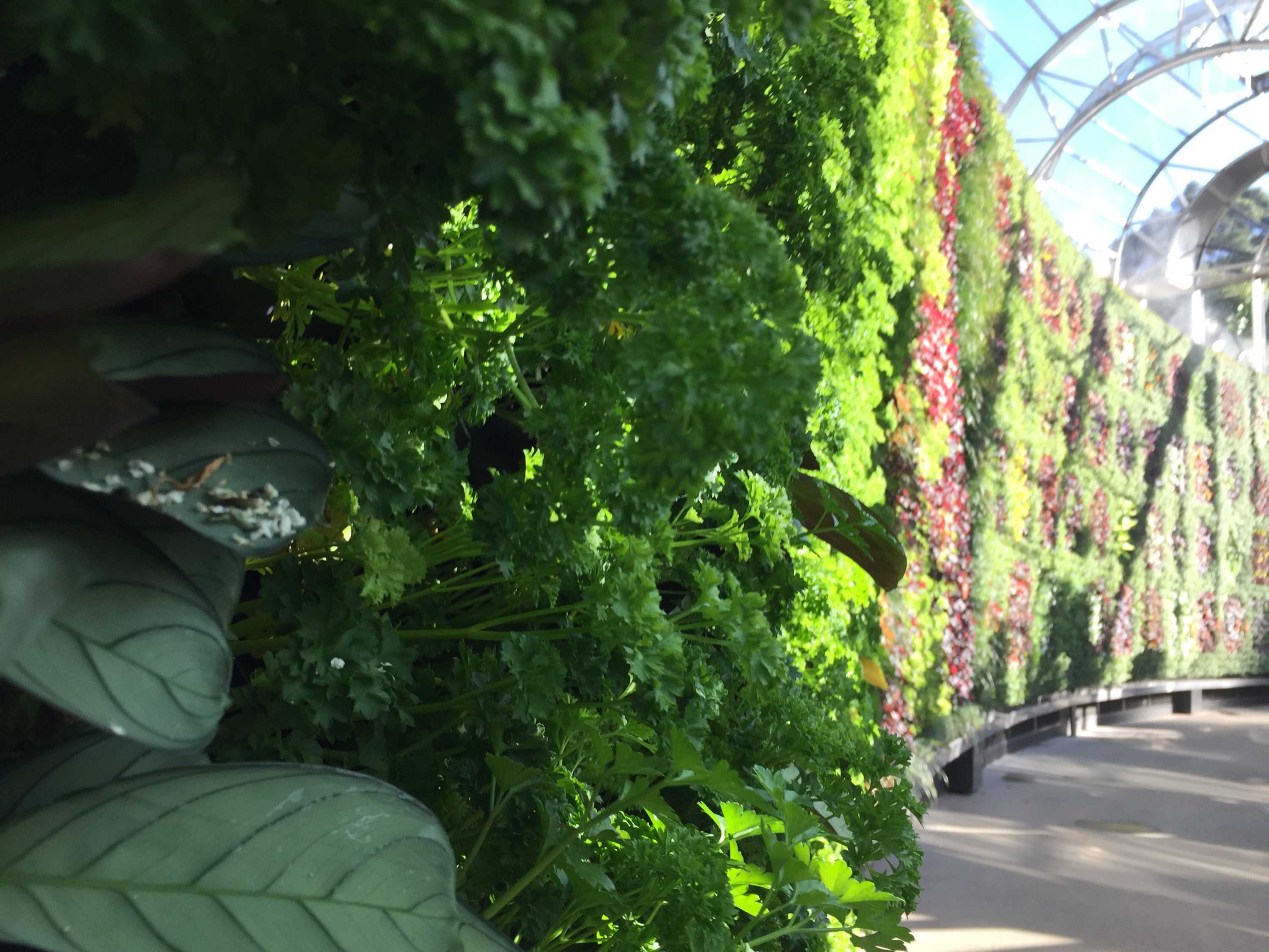 Inside The Calyx - ABC News