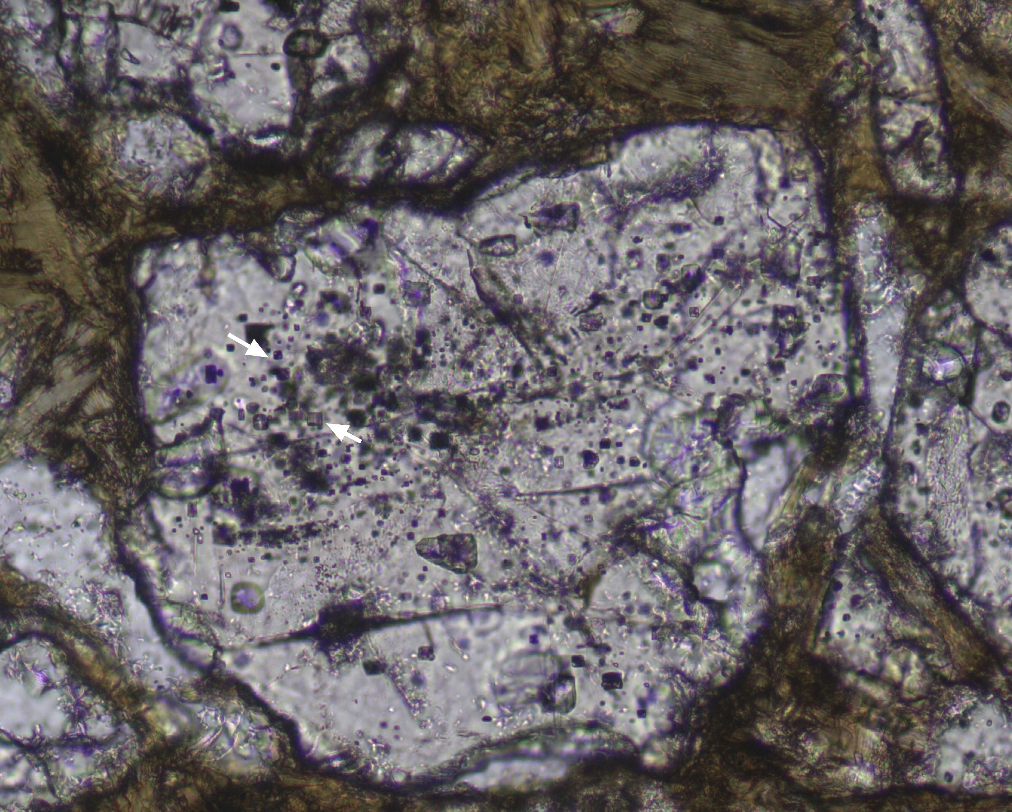 Diamonds so small they can only be seen using a laser and a microscope ...