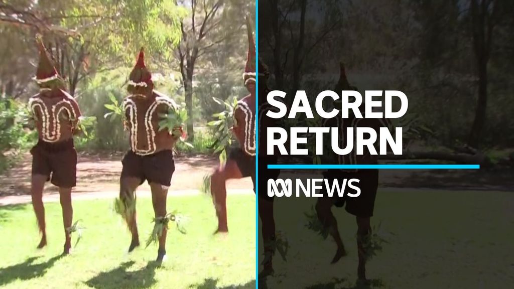 Return of sacred Arrernte objects celebrated in Alice Springs - ABC News