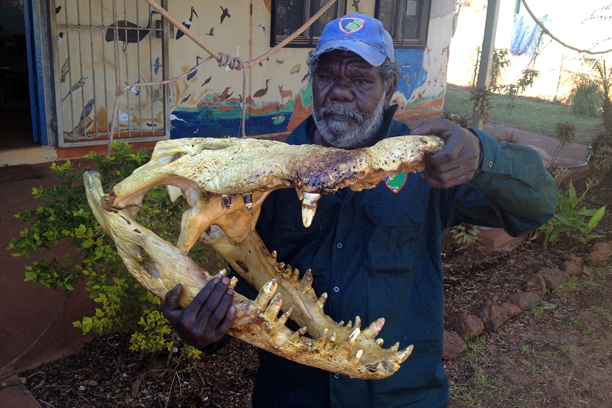 NT Labor vows stronger powers for Indigenous rangers - ABC News