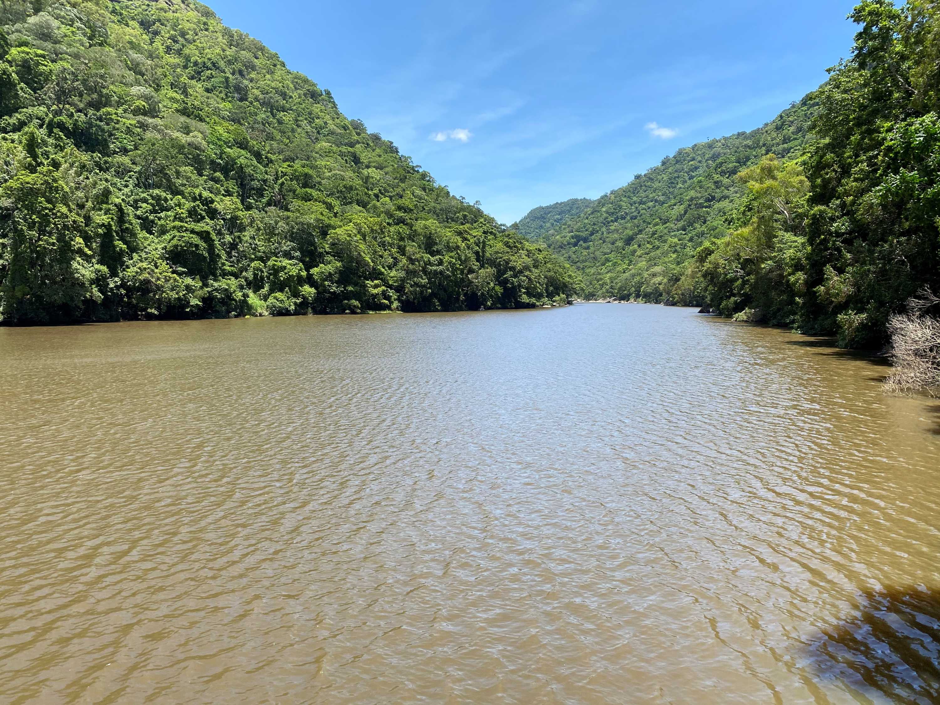 Two men survive crocodile attacks days apart in Far North Queensland ...