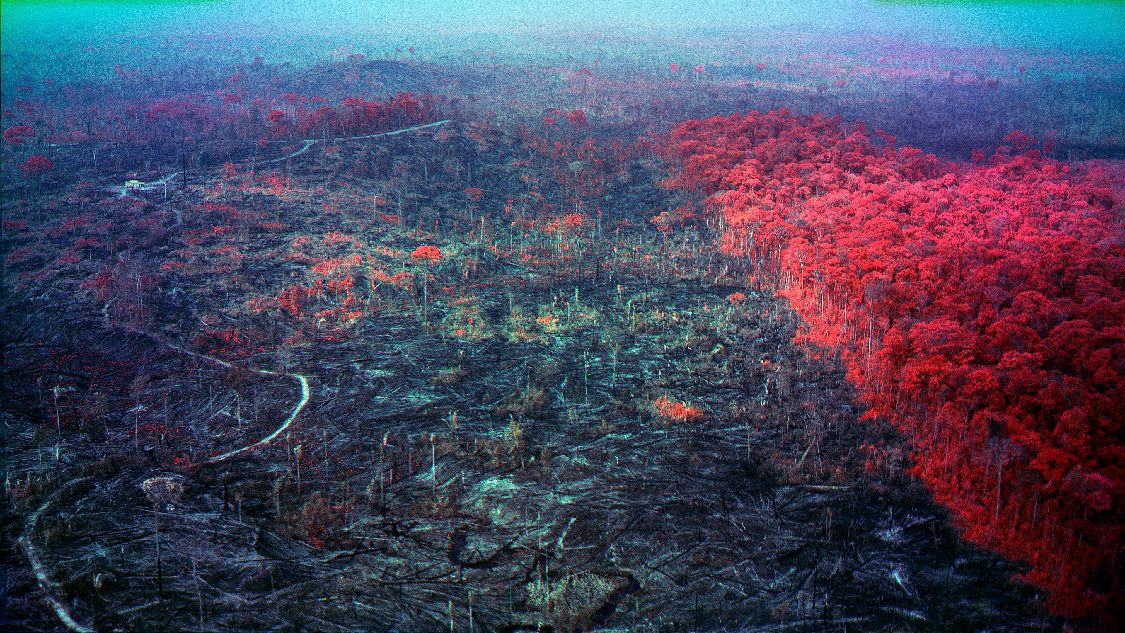 Richard Mosse returns to National Gallery of Victoria with Broken ...