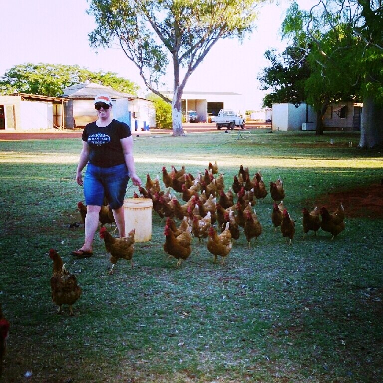 Go west: east coasters lured to the Kimberley to learn ropes of cattle ...