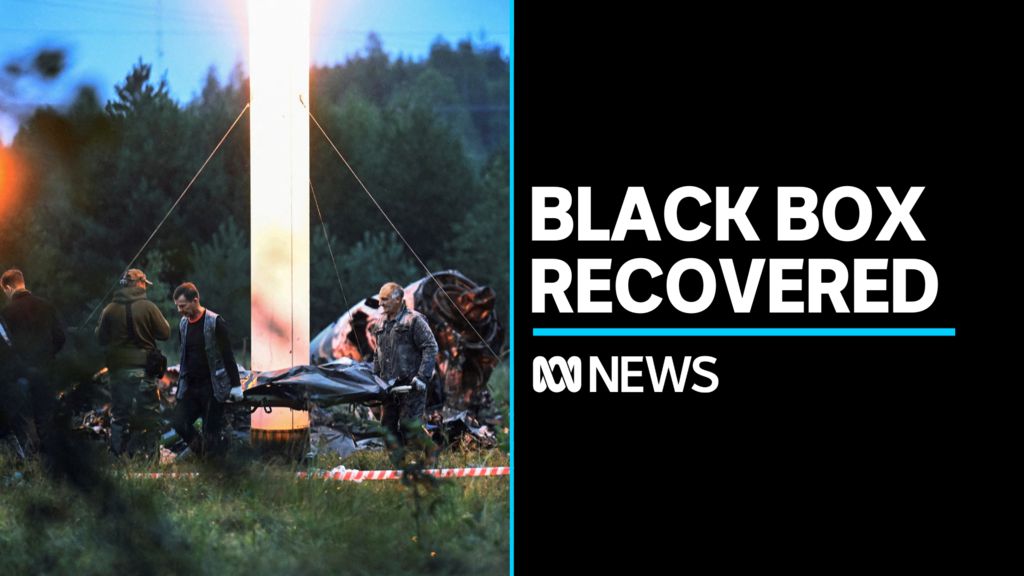 Victorian Labor slammed after investigation into alleged branch ...