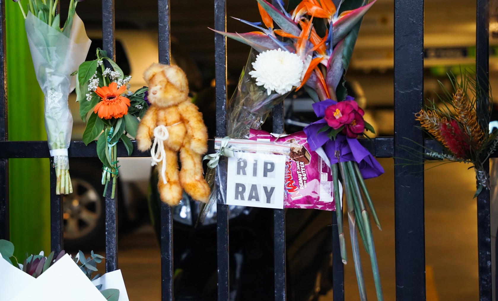 Man found not criminally responsible for murder of Ray McCormack in ...
