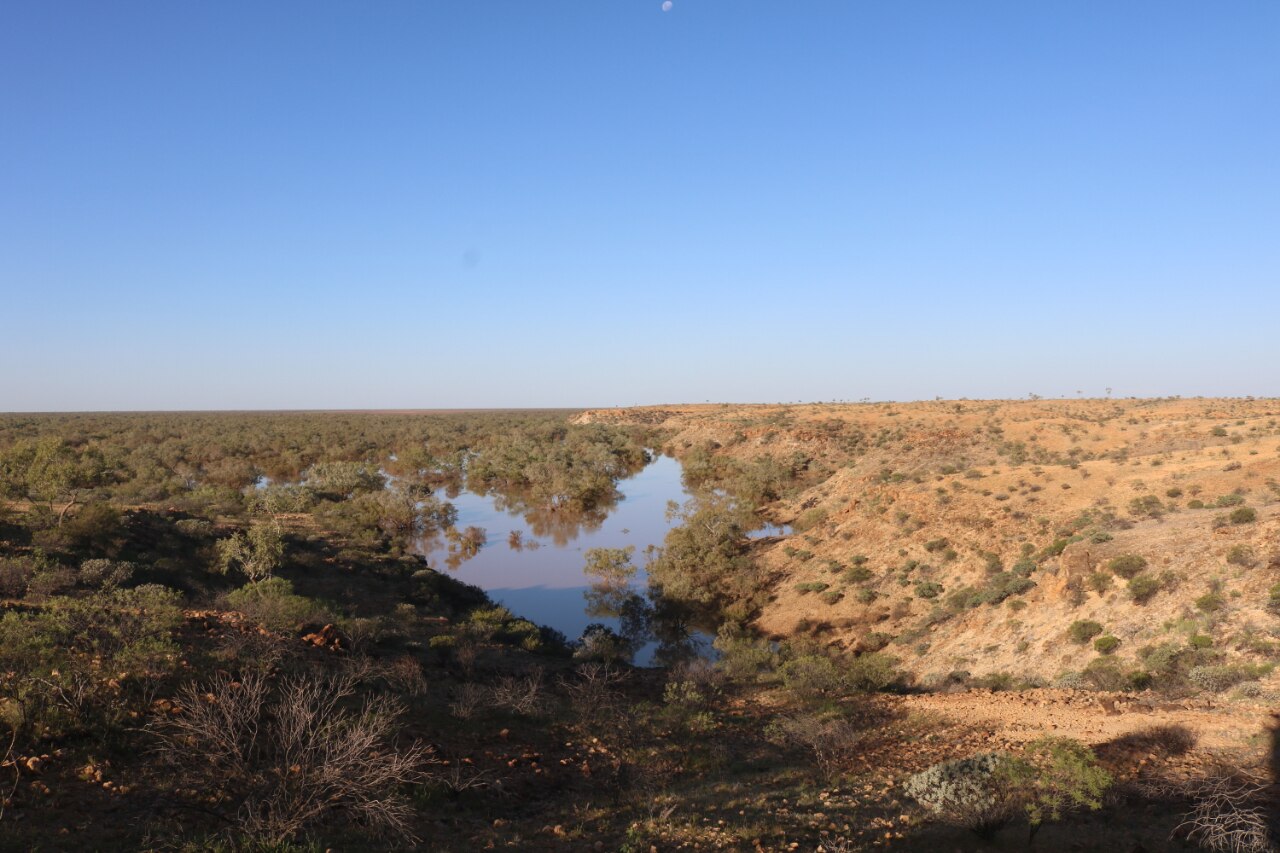 Mixed blessings for Channel Country graziers as floodwater brings ...