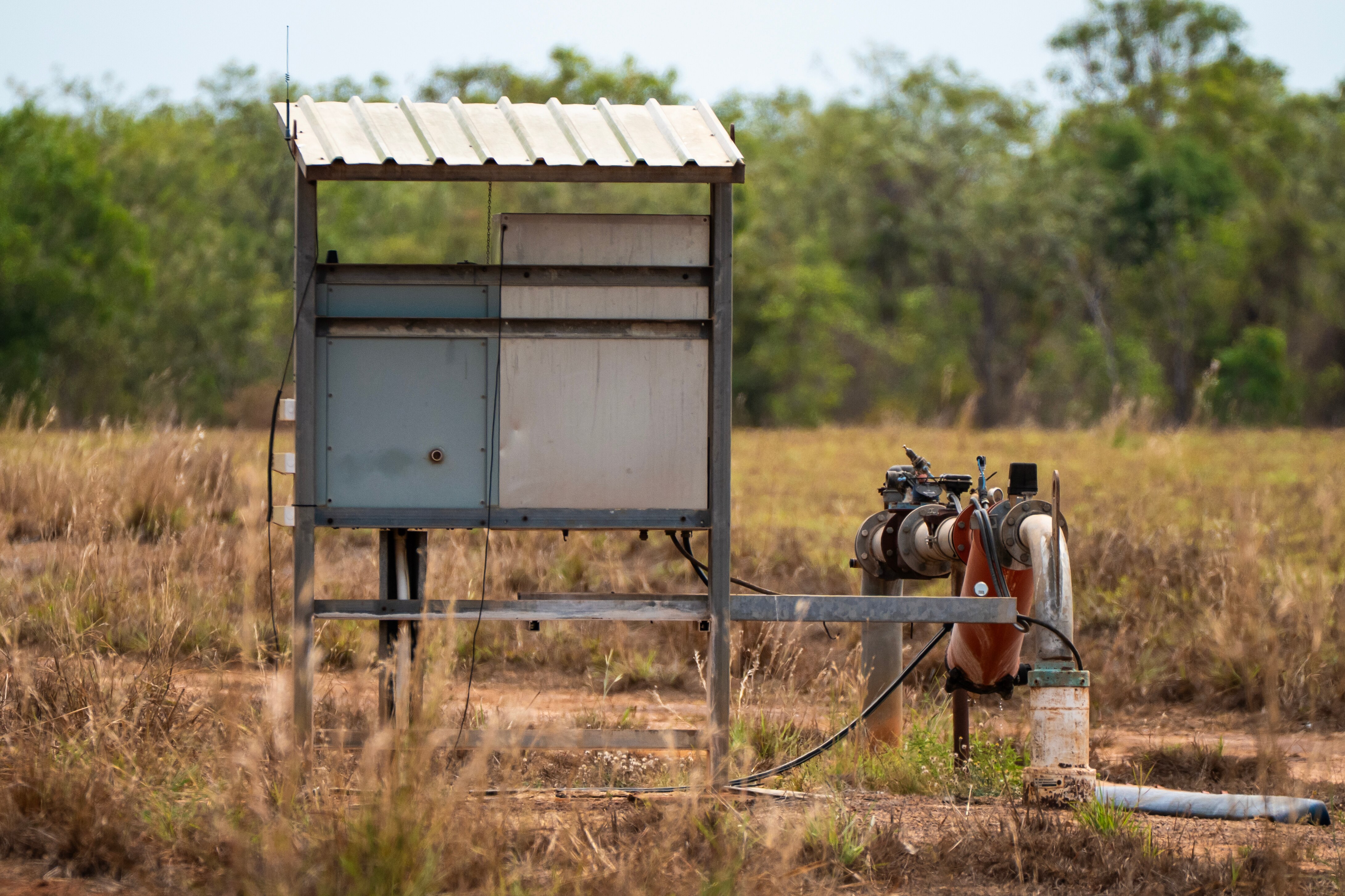 Elevated E. coli levels recorded at major NT crocodile farm owned by ...