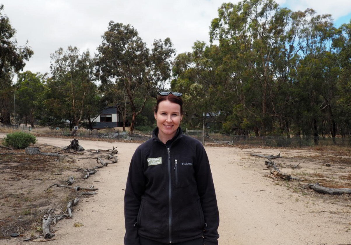 Welcome to Mt Rothwell, the frontline in the fight against extinction ...