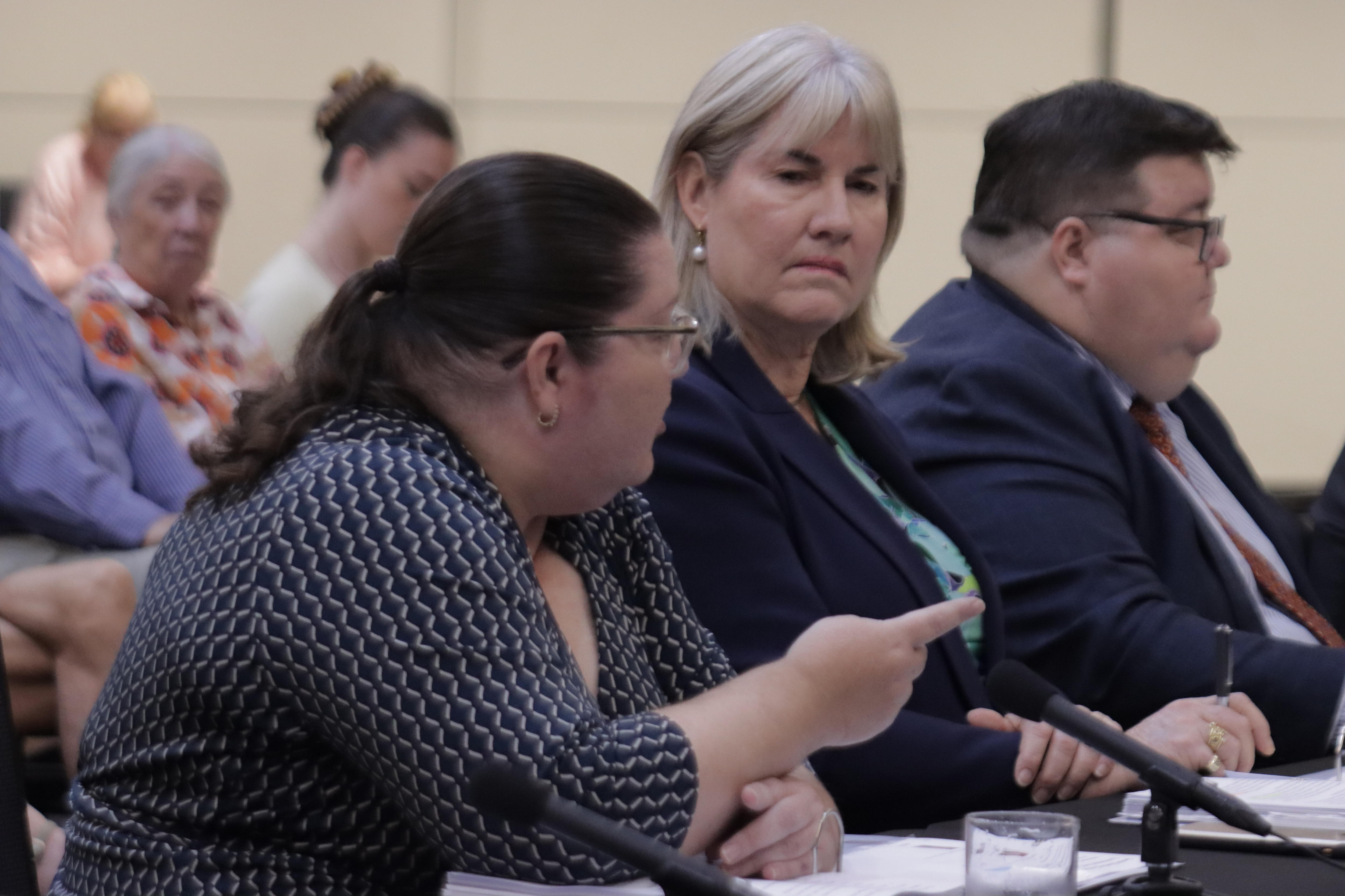 NT government tells Senate inquiry Middle Arm precinct may include ...