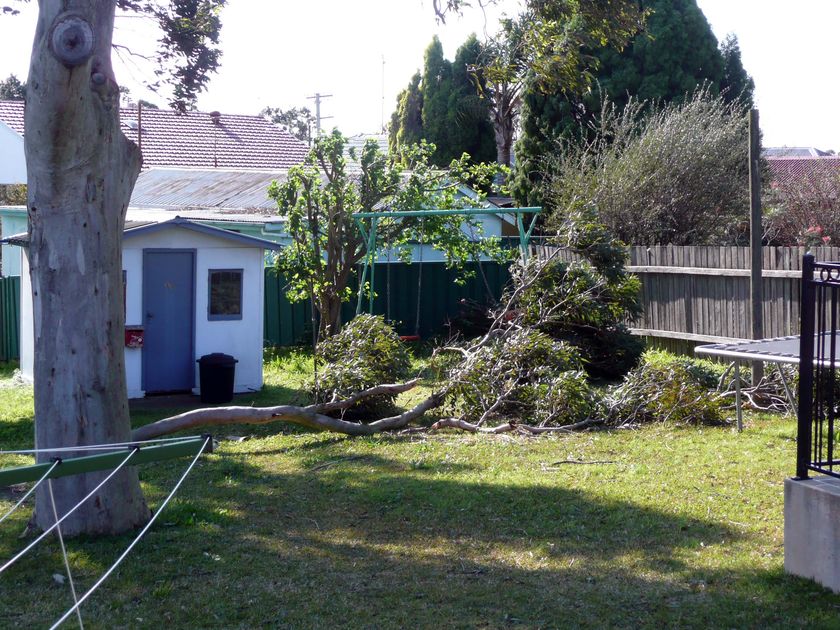 No power, flushing after severe NSW storm - ABC News